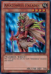 Amazonische Paladinin Legendary Collection 4 Legendary Collections ...