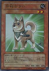 Shiba-Warrior Taro Anniversary Pack Promo-Karten Einzelkarten Yu-Gi-Oh ...