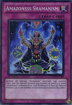 Amazoness Shamanism Duelist Revolution Boosterserien Einzelkarten Yu-Gi ...