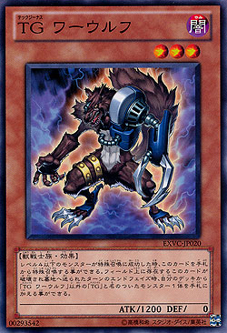 T.G. Werewolf Extreme Victory Boosterserien Einzelkarten Yu-Gi-Oh! MAWO ...