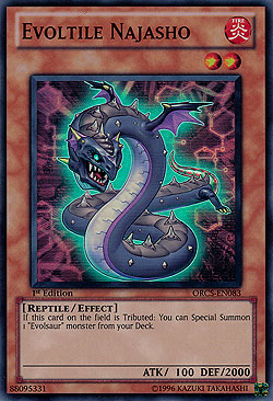 Evoltile Najasho Order of Chaos Boosterserien Einzelkarten Yu-Gi-Oh ...